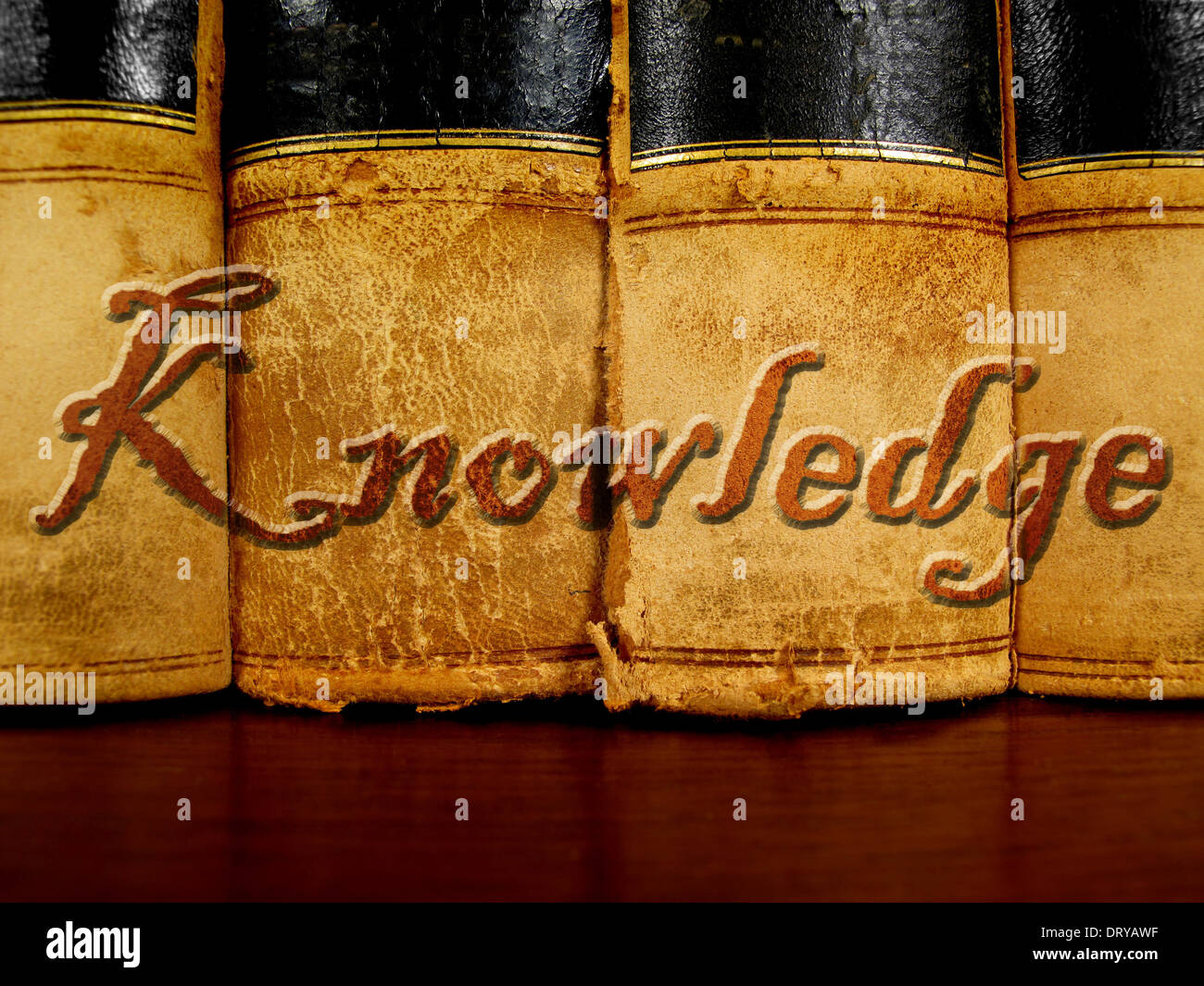 Row of old leather books on a shelf with word knowledge cover Stock ...