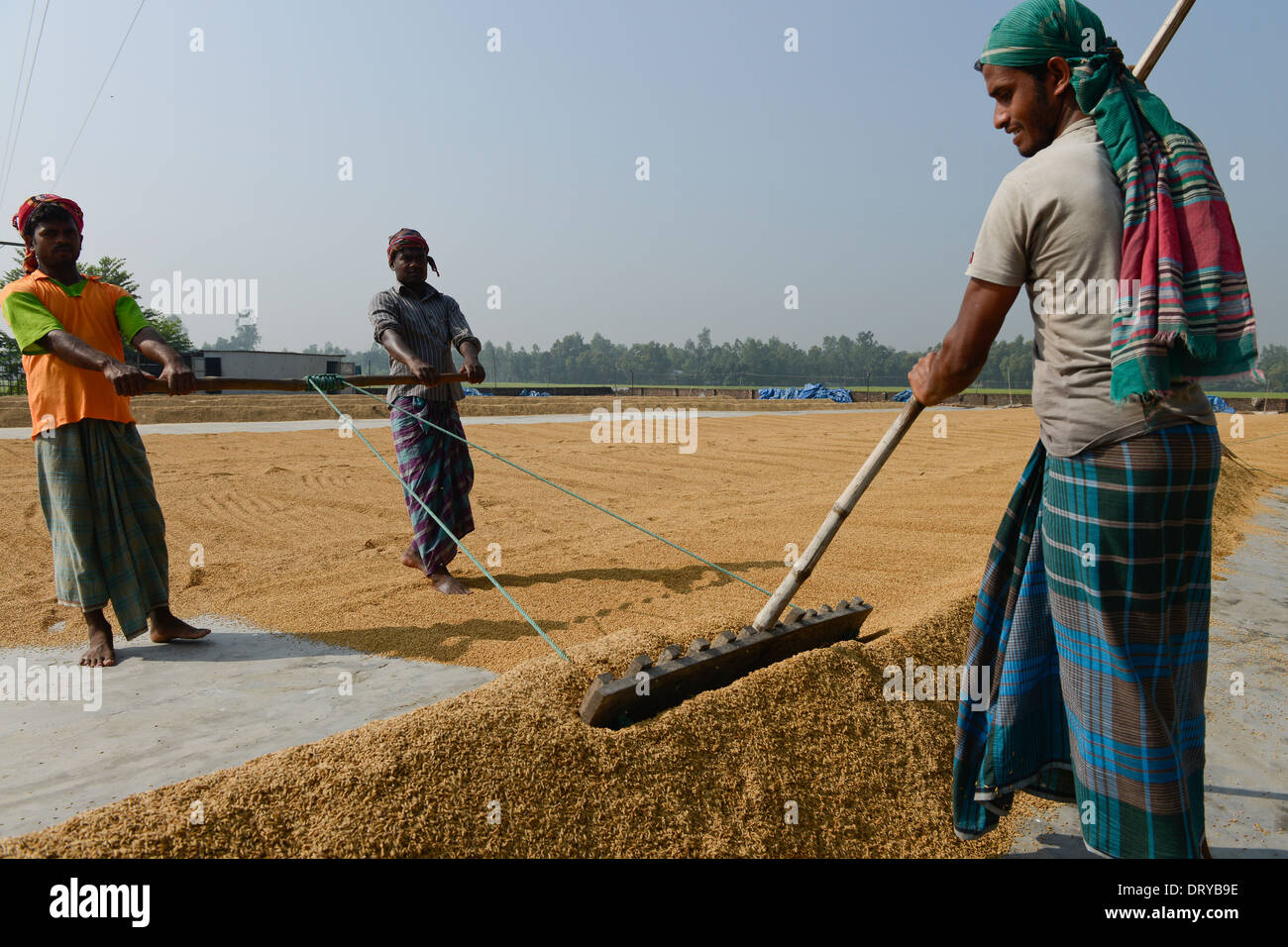 Bangladesh tangail small rice mill hi-res stock photography and images ...