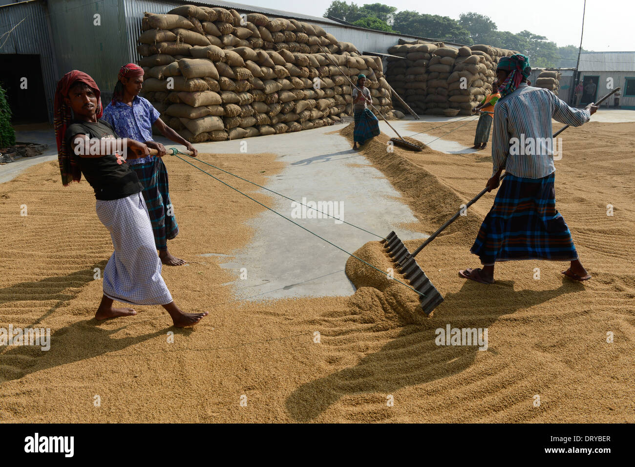 Inside A Rice Mill
