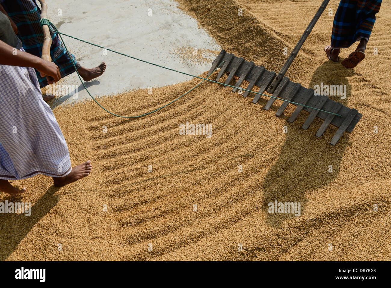 Bangladesh tangail small rice mill hi-res stock photography and images ...