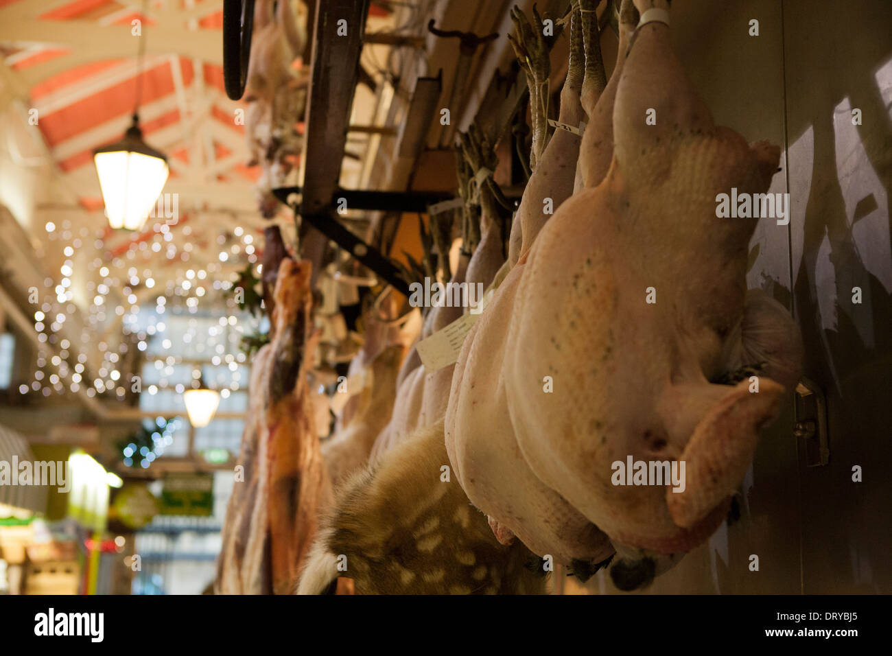 Uncovered Turkeys hanging outside a Butchers shop in Oxford's Covered ...
