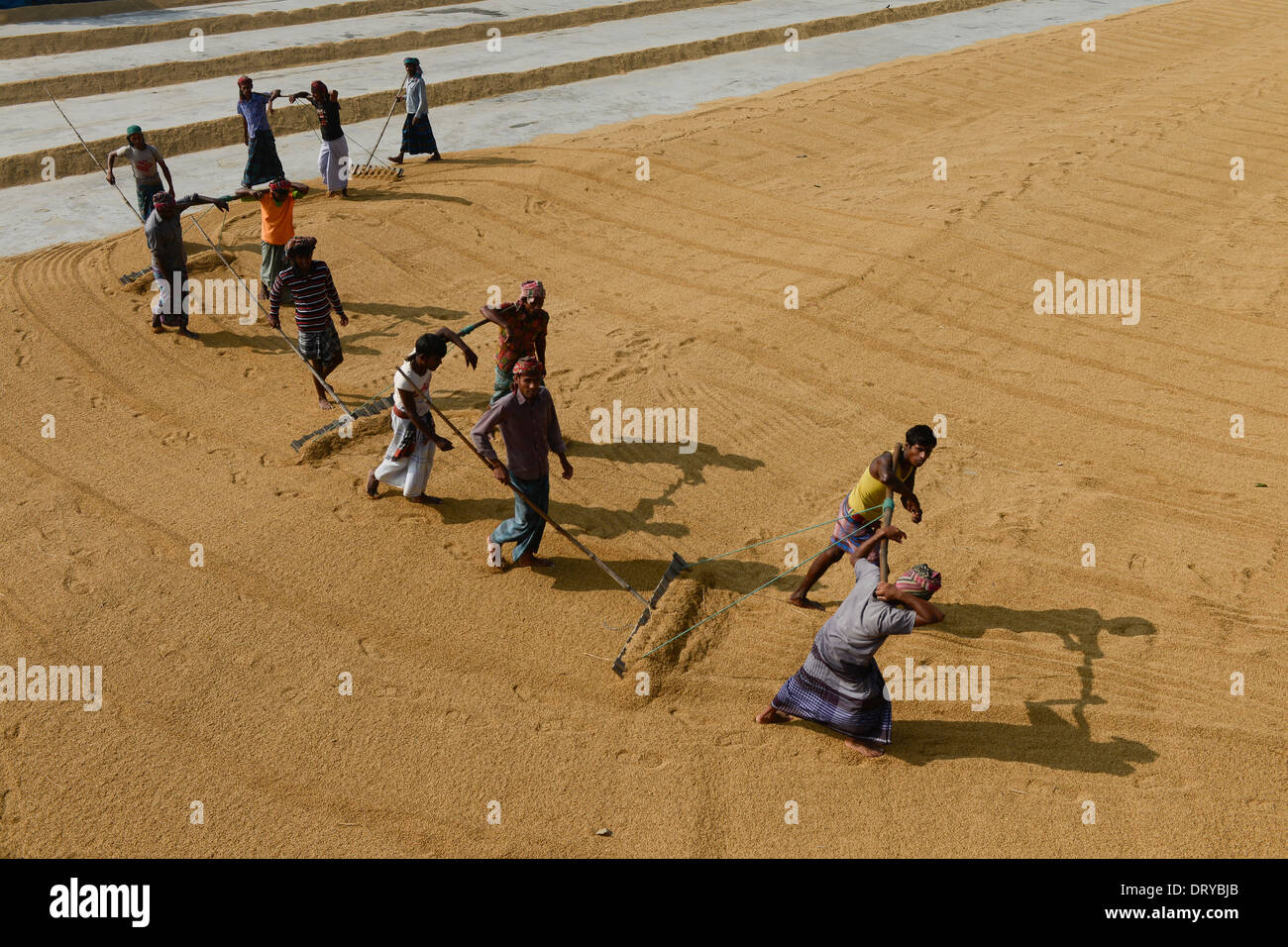 Rice mill worker hi-res stock photography and images - Alamy
