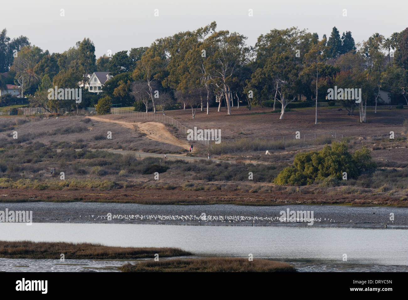 Upper Newport Bay Nature Preserve Stock Photo - Alamy