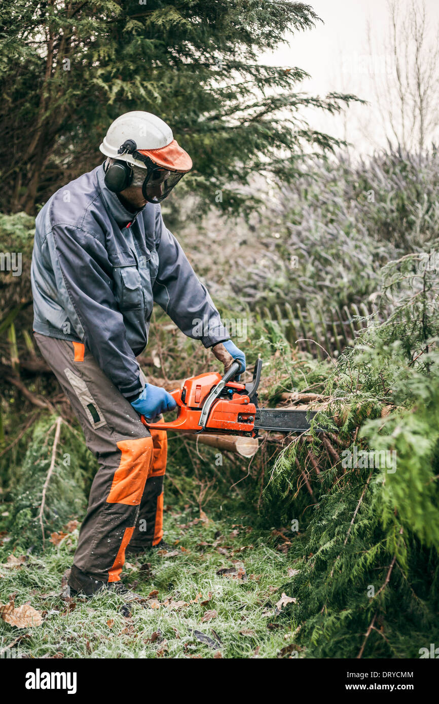 Man cutting tree hi-res stock photography and images - Alamy