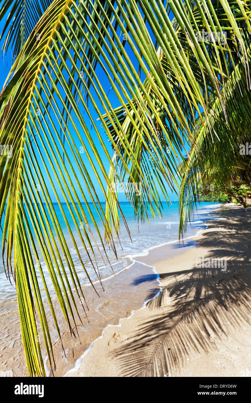 Beautiful tropical beach Stock Photo - Alamy