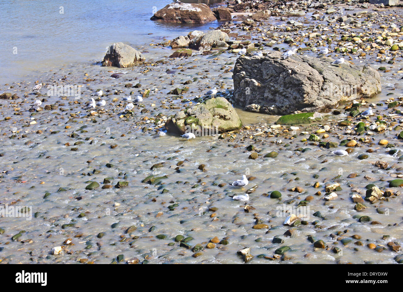 Sea waves bathing pebbles stones hi-res stock photography and images ...