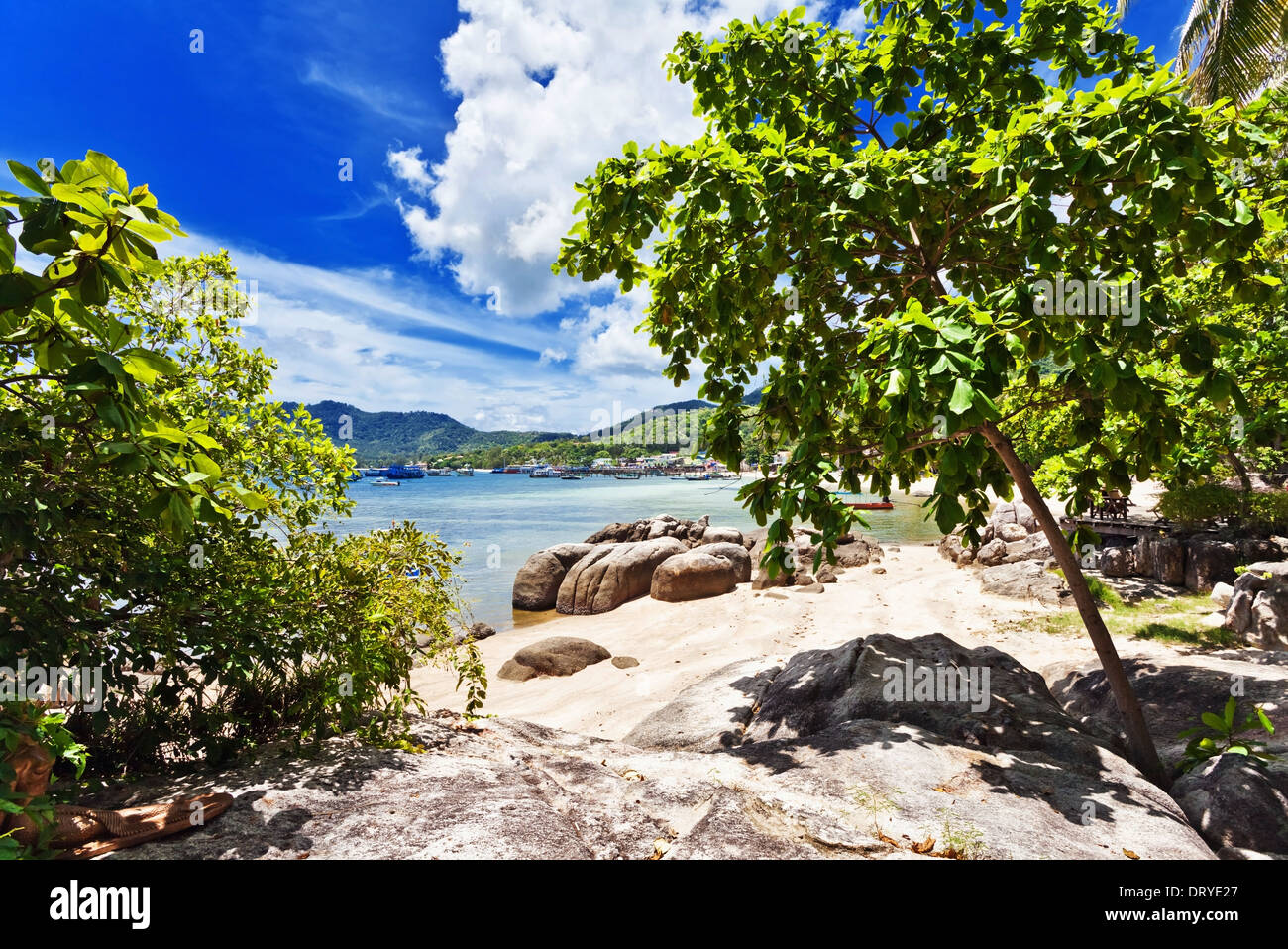 Beautiful tropical beach with sea view, clean water. Nature background ...