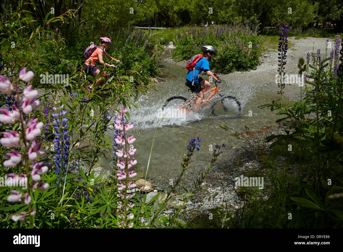 Mountain bikers crossing stream by Arrow River, by Arrow River Bridges ...