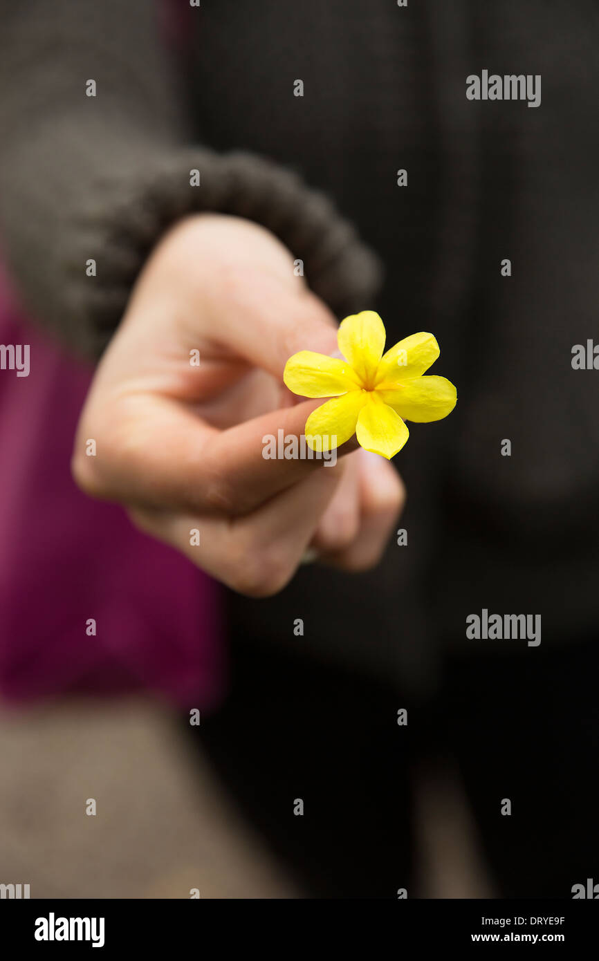 Flower hand hi-res stock photography and images - Alamy