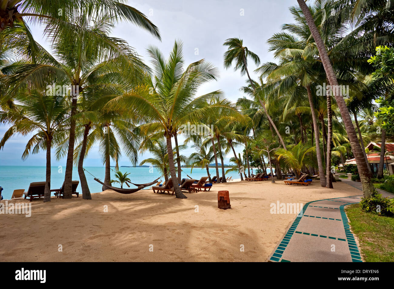 Paradise beach clean sea water hi-res stock photography and images - Alamy