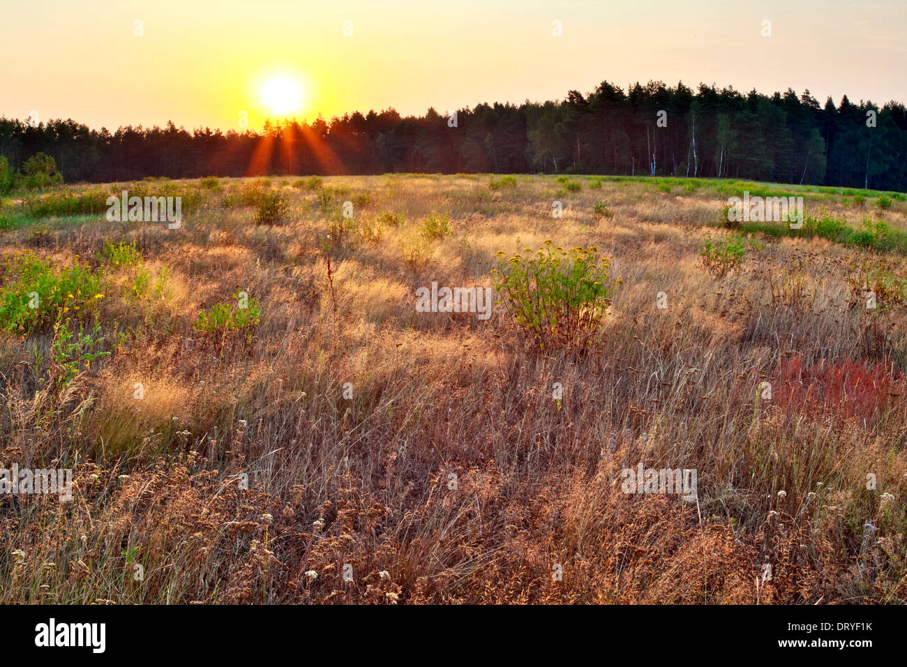 Summer sunset landscape hi-res stock photography and images - Alamy