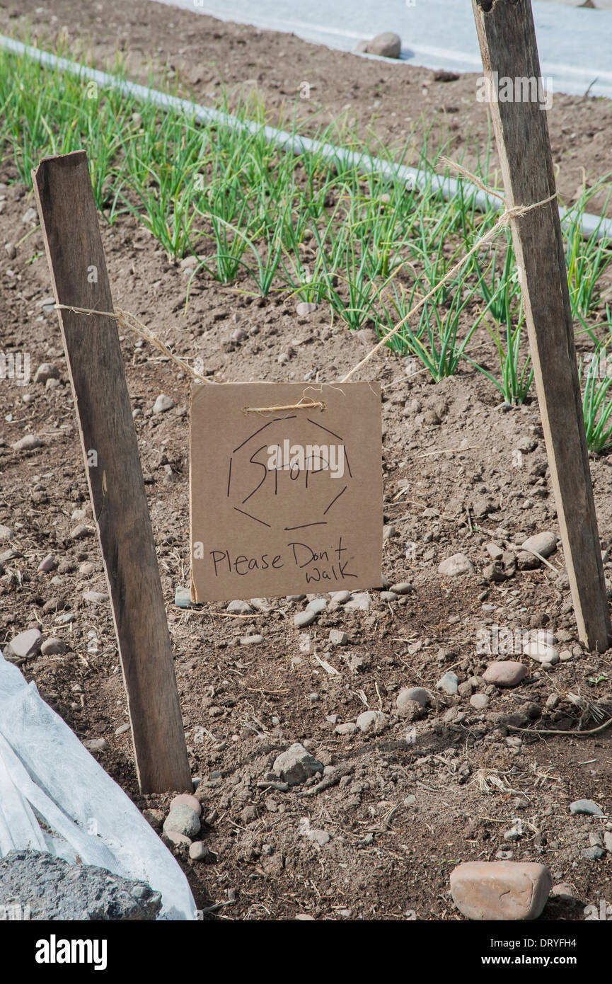 Stop sign for freshly planted area in a community garden in Missoula ...