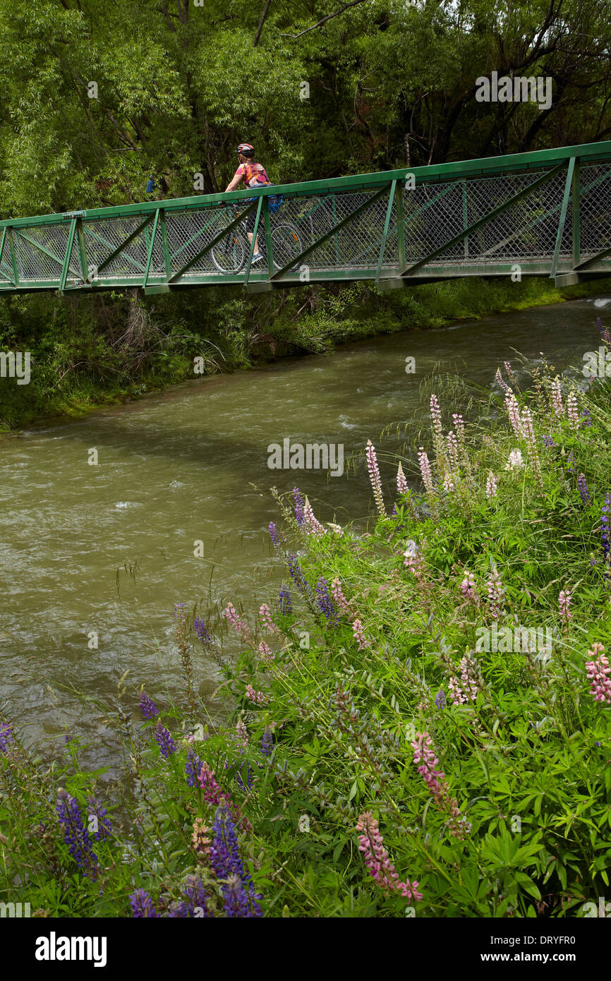 Bridge arrowtown new zealand hi-res stock photography and images - Alamy
