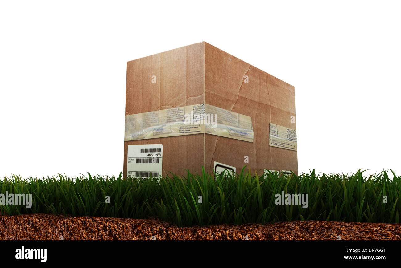 cardboard box on green grass isolated on white background Stock Photo ...