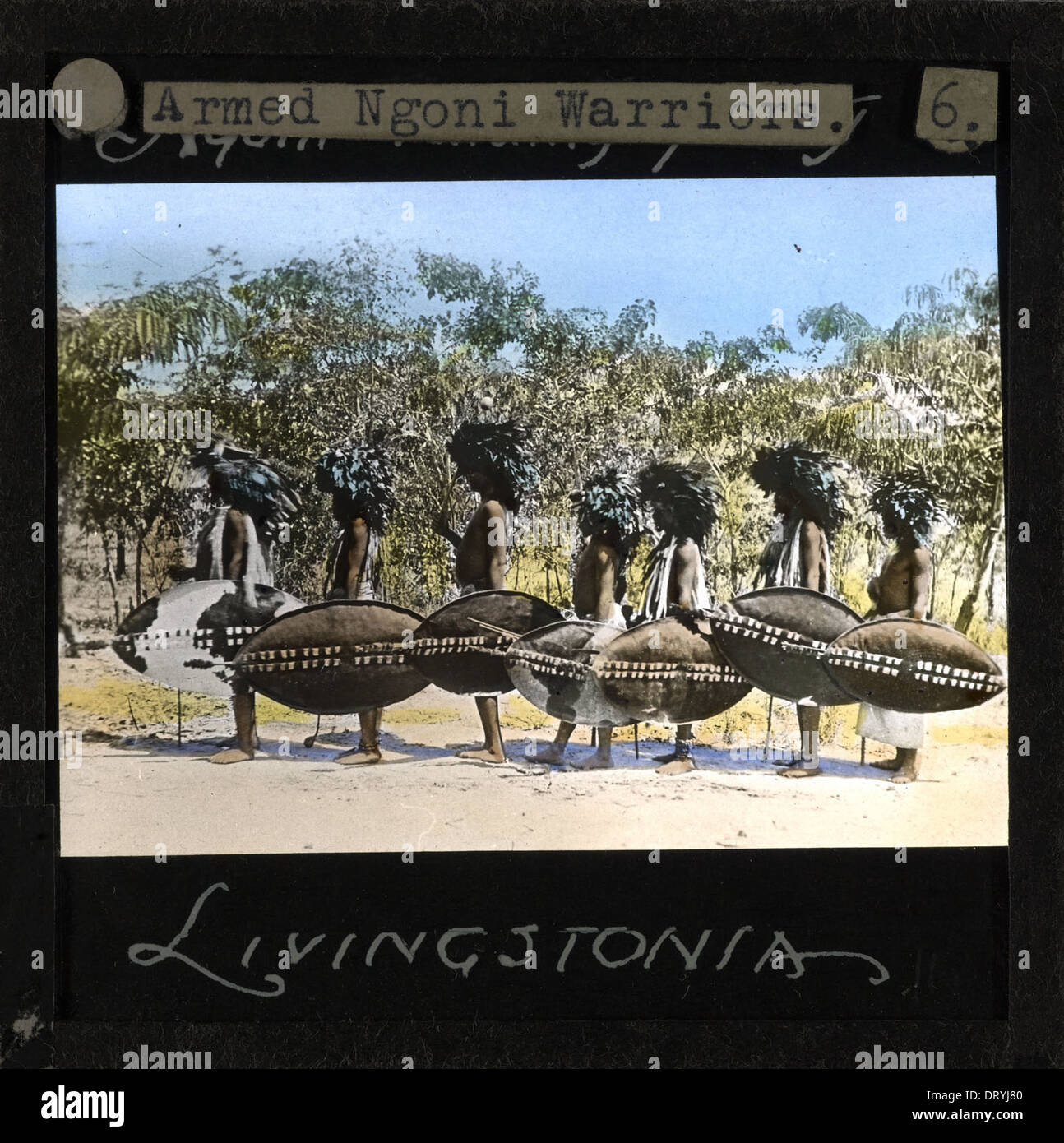 A photograph of armed Ngoni warriors from Livingstonia, Malawi, taken ...