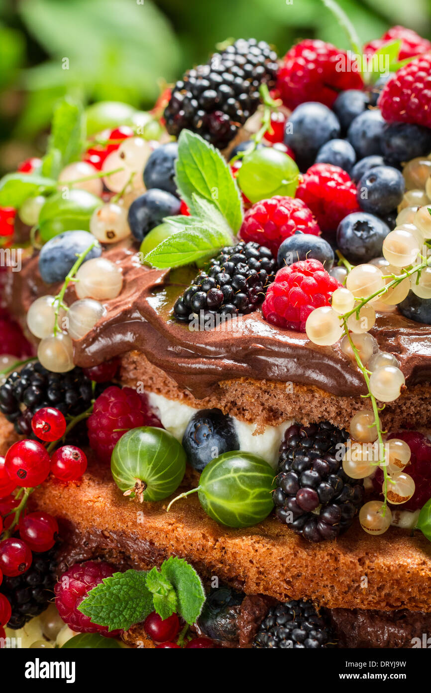 Closeup of fresh wild berry fruits in a cake Stock Photo - Alamy