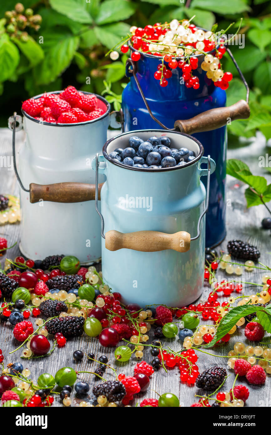 Freshly harvested wild berry fruits in summer Stock Photo - Alamy