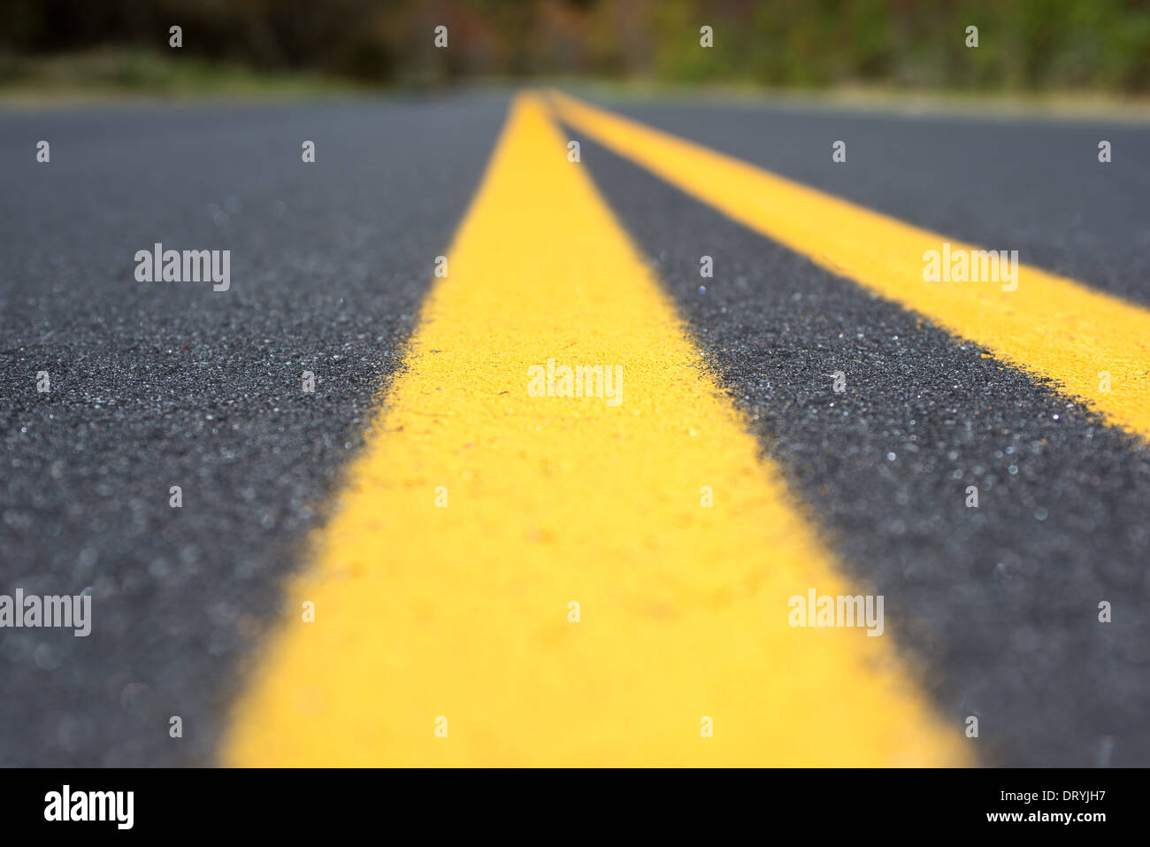 Country road in the Appalachian Mountains, NC USA. Very shallow depth ...