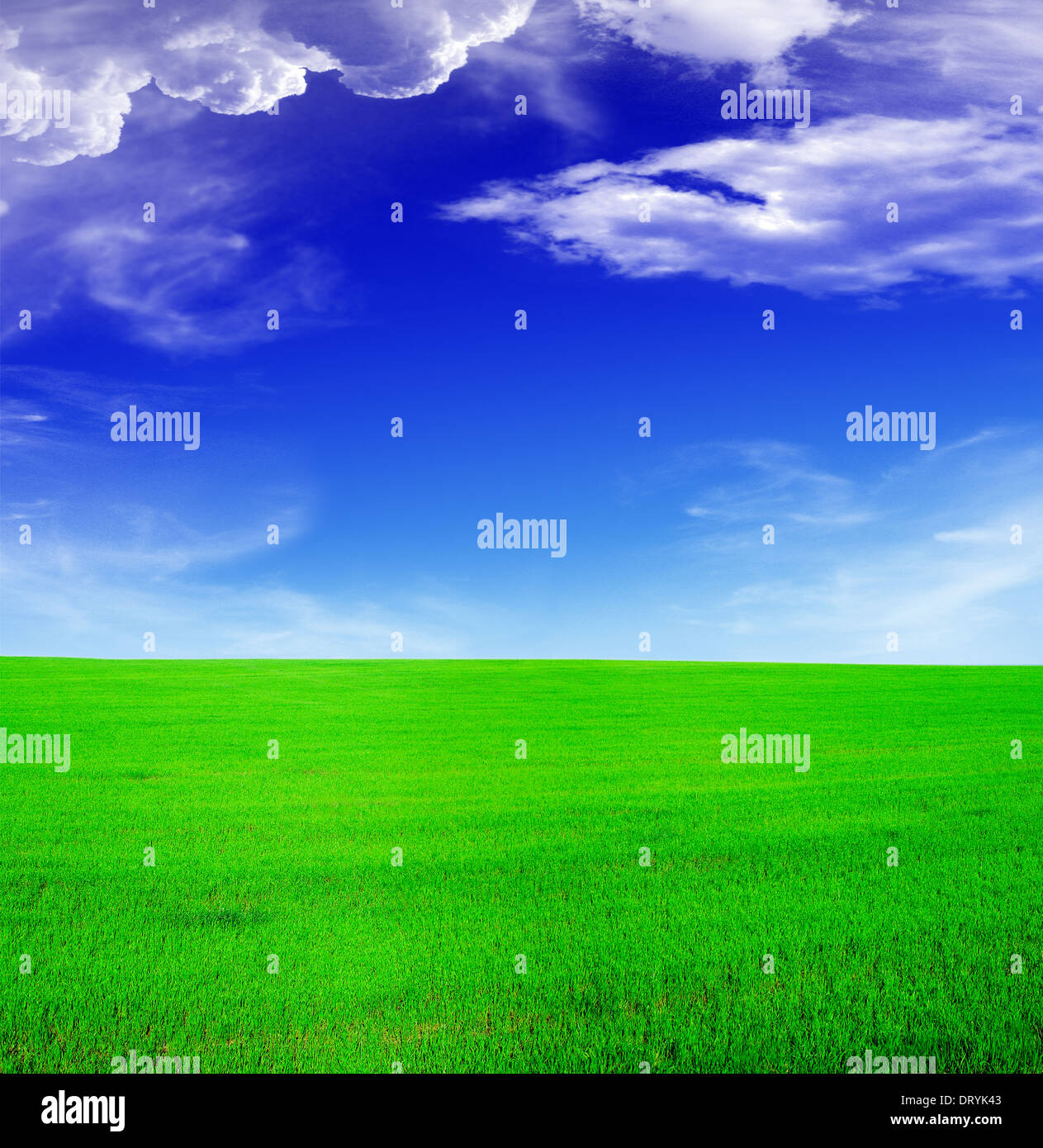 Summer landscape - blue sky and green field Stock Photo - Alamy