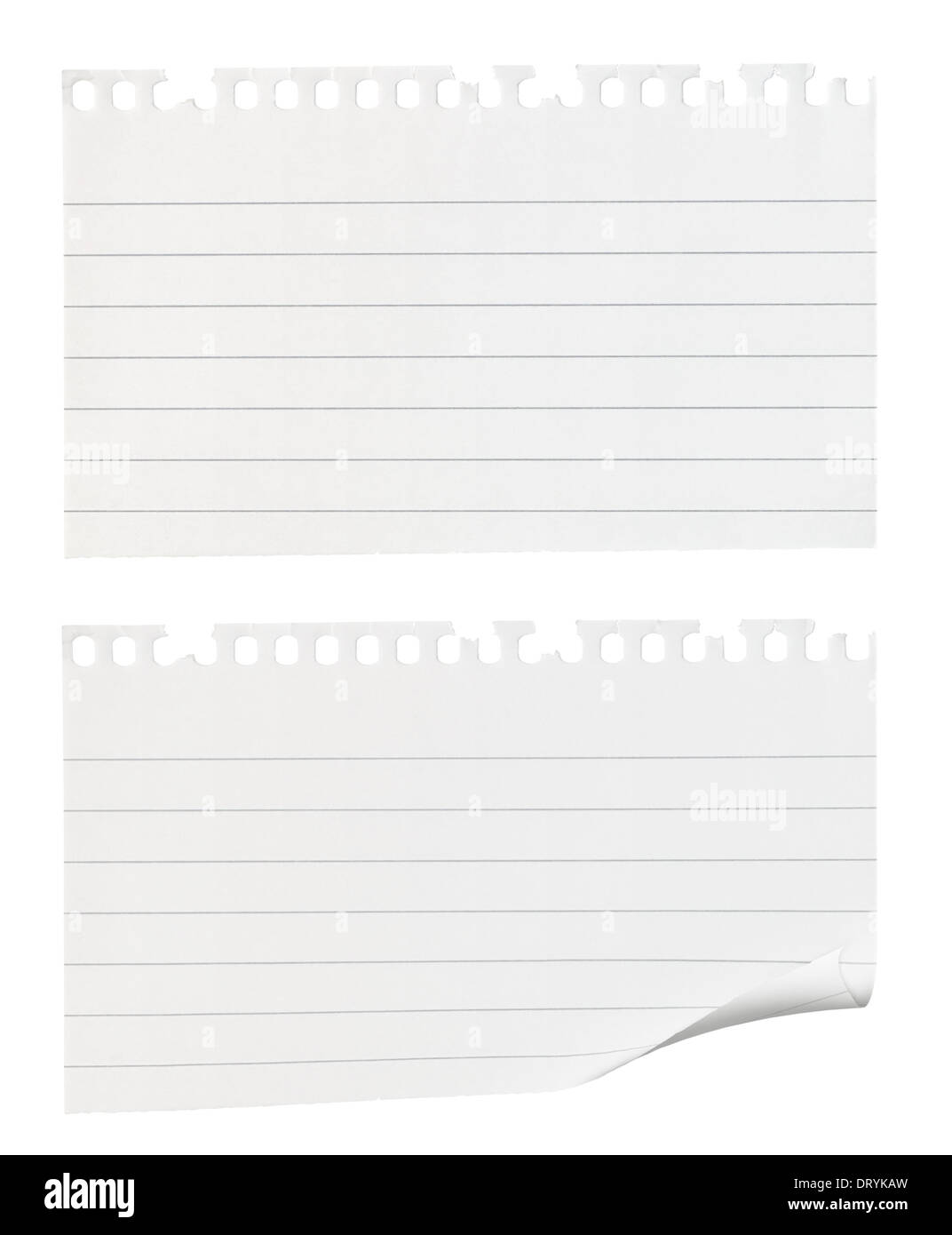 Torn pieces of notepaper one with a curled edge isolated against a ...