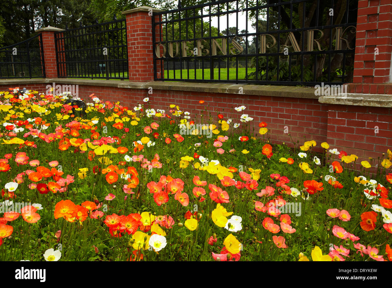 Botanical gardens at Queens Park, Invercargill, Southland, South Island ...