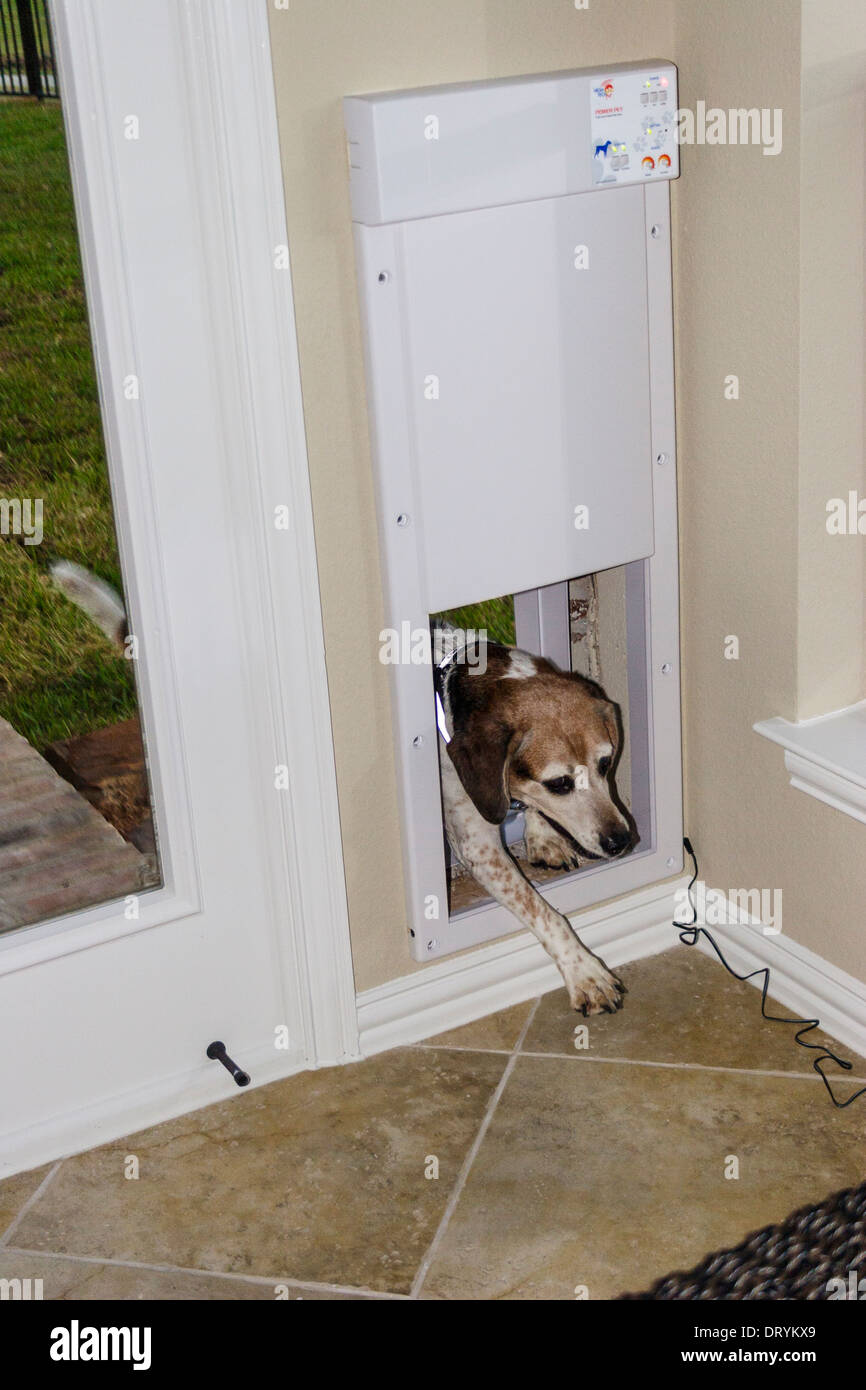 Cheap Electronic Dog Door