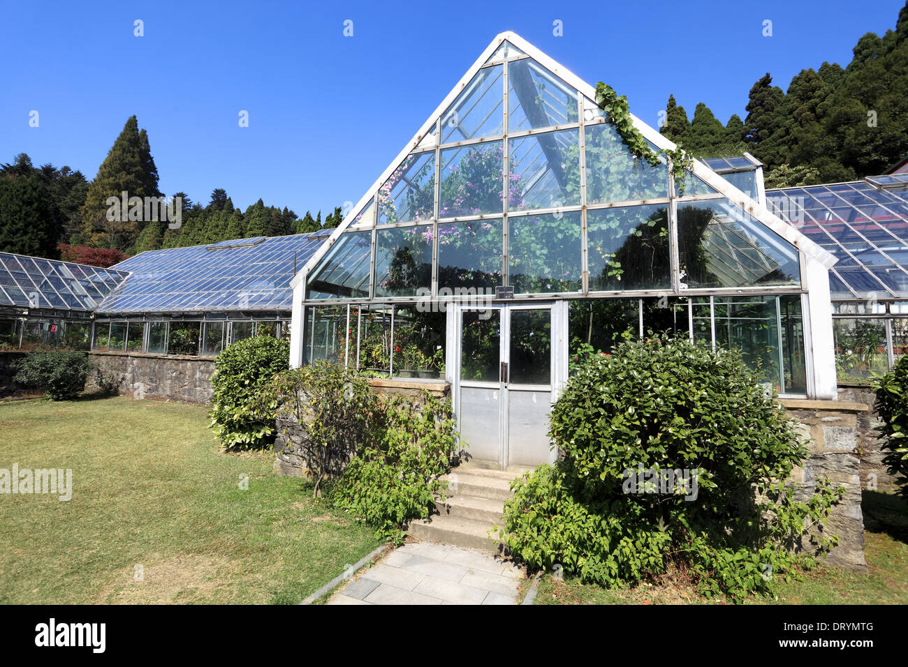 Greenhouse system hi-res stock photography and images - Alamy