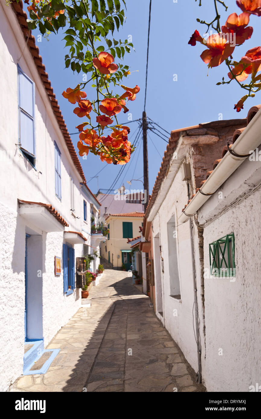 Old street of samos town hi-res stock photography and images - Alamy