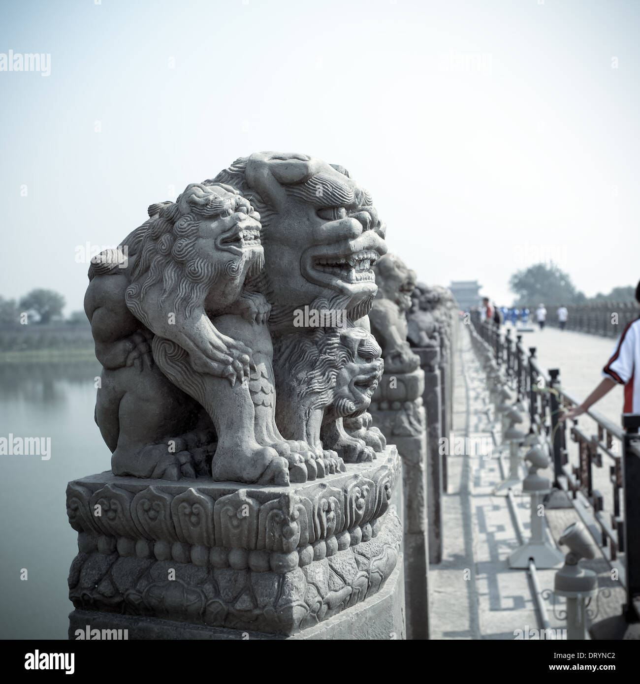 Stone lion ancient architecture hi-res stock photography and images - Alamy