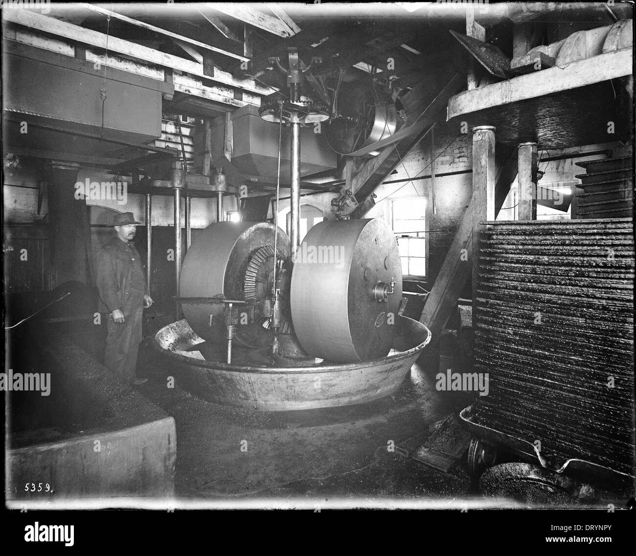 A photograph of a worker standing next to an olive mill in California ...