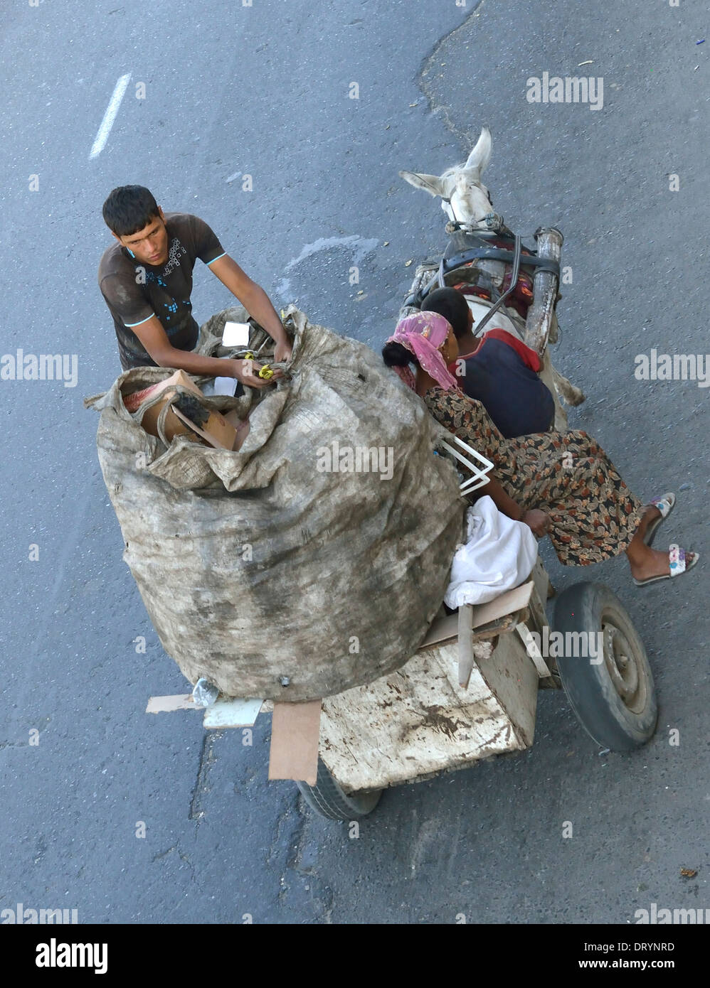 Pulling Donkey High Resolution Stock Photography and Images - Alamy