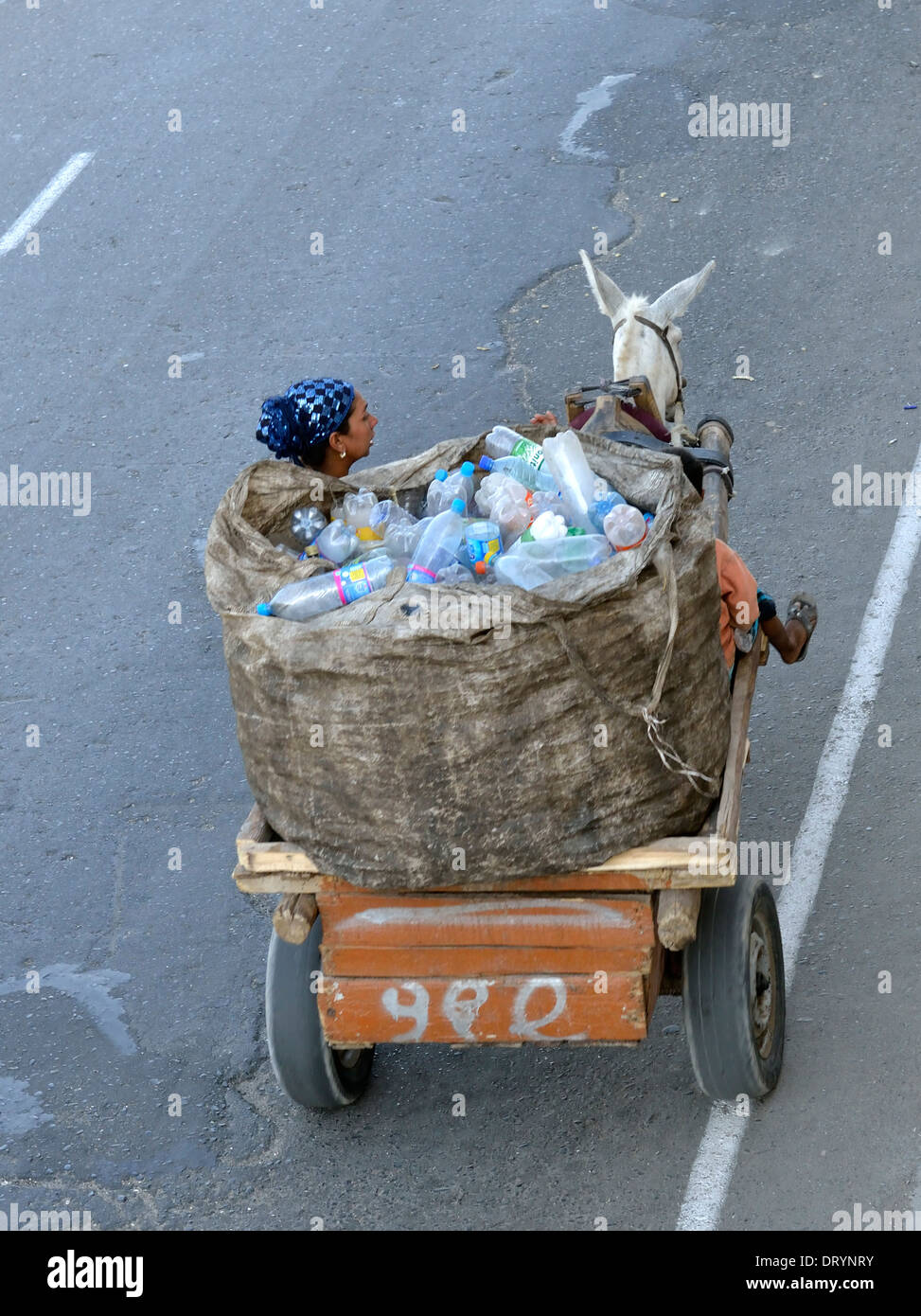 Donkey cart loaded with plastic bottles, Samarkand, Uzbekistan Stock ...