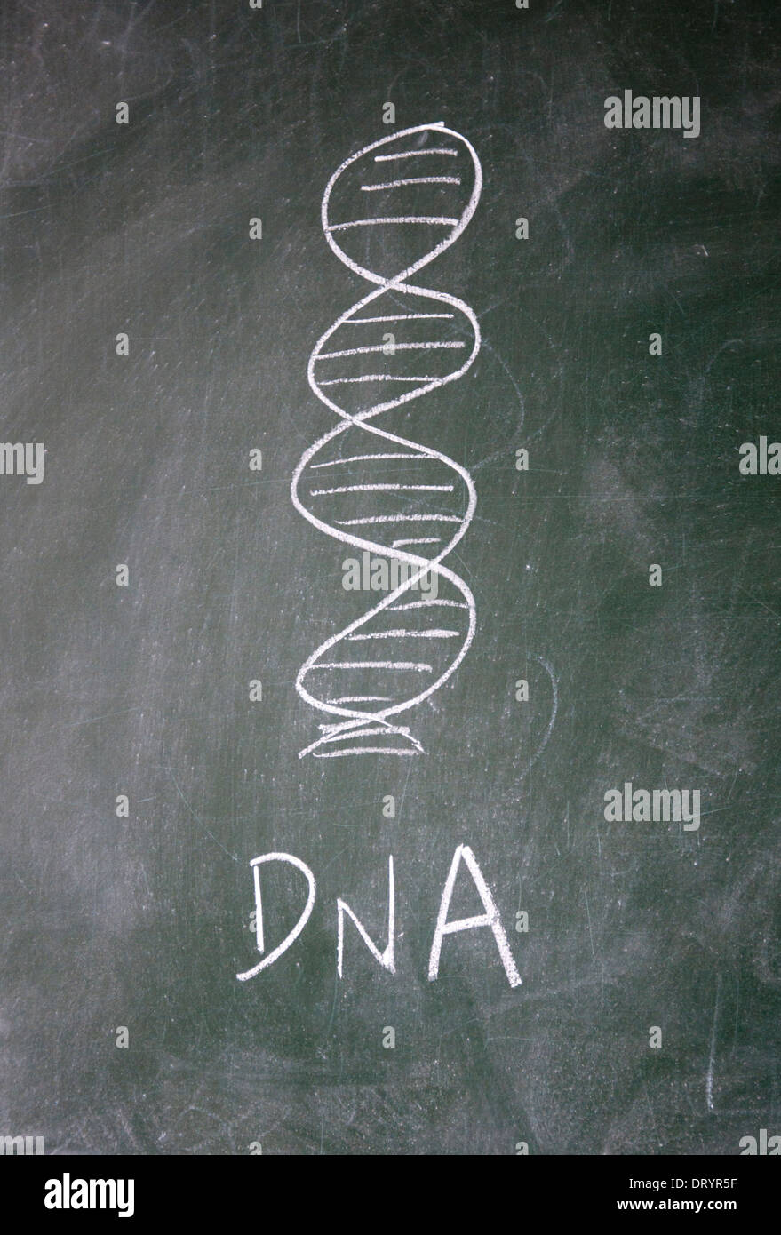 DNA sign on blackboard Stock Photo - Alamy