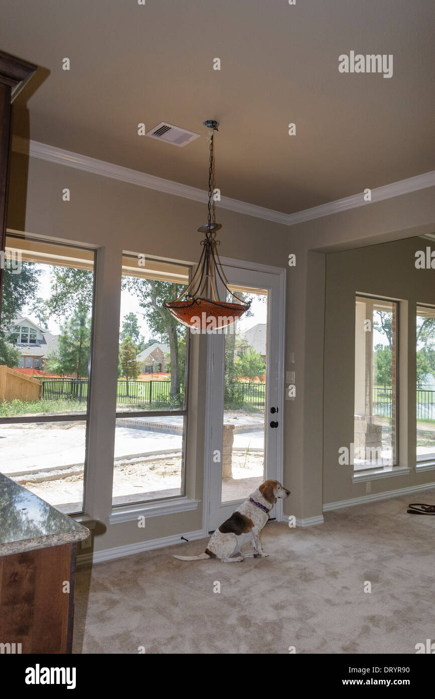 Pet exploring new custom home still under construction Stock Photo - Alamy