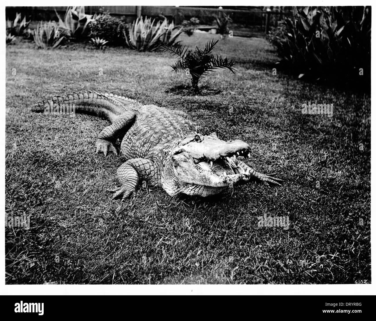 Los angeles california usc Black and White Stock Photos & Images - Alamy