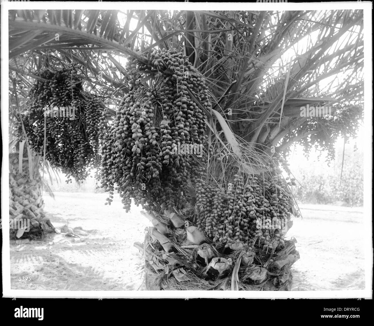 Clusters Black and White Stock Photos & Images - Alamy