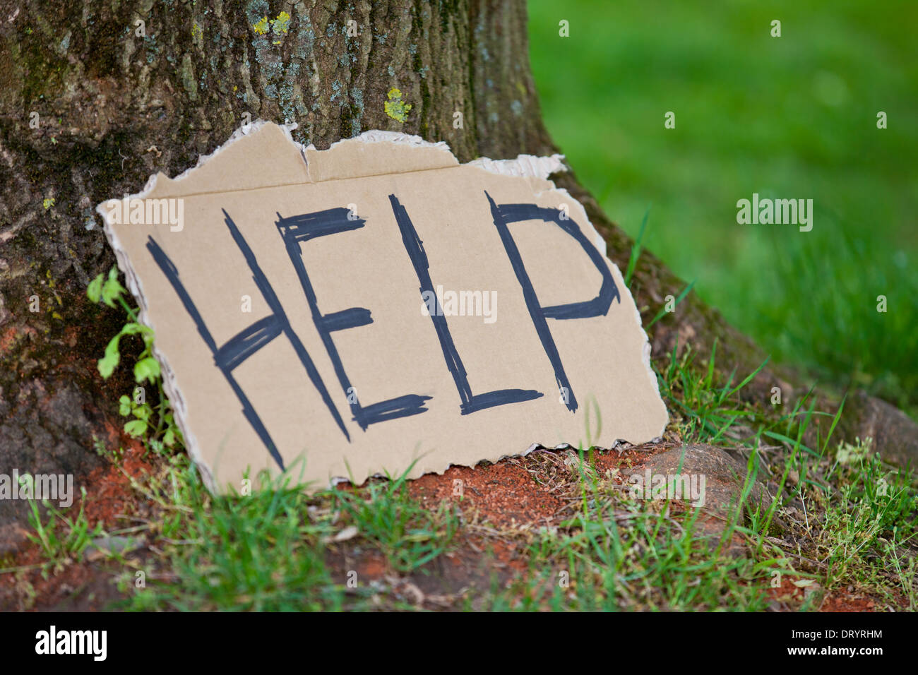 Cardboard sign showing the term help Stock Photo - Alamy