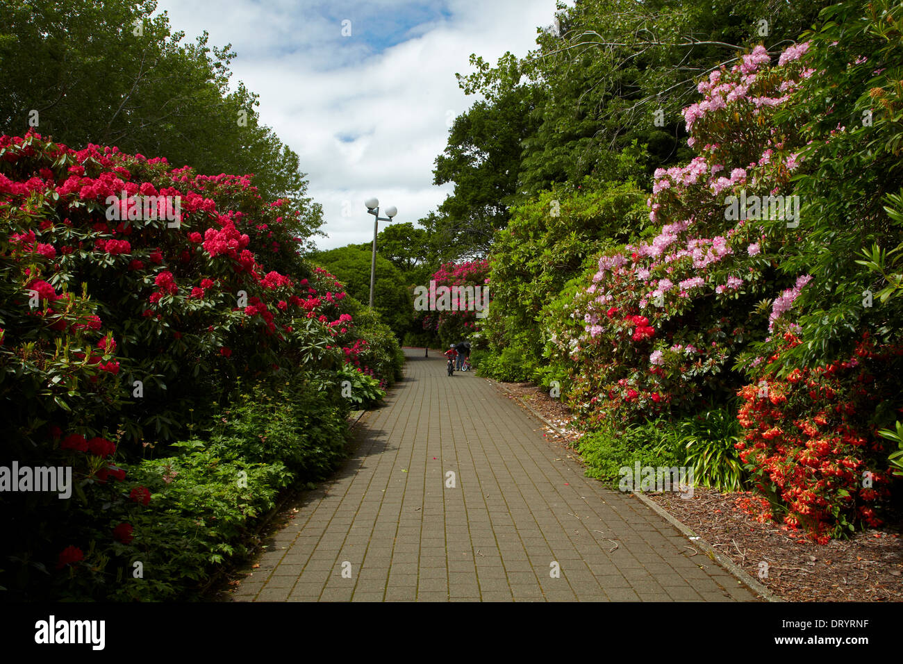 Botanical gardens at Queens Park, Invercargill, Southland, South Island ...