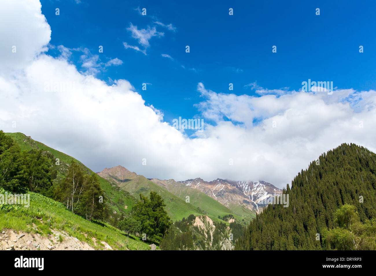 Nature near Big Almaty Lake, Tien Shan Mountains in Almaty, Kazakhstan ...