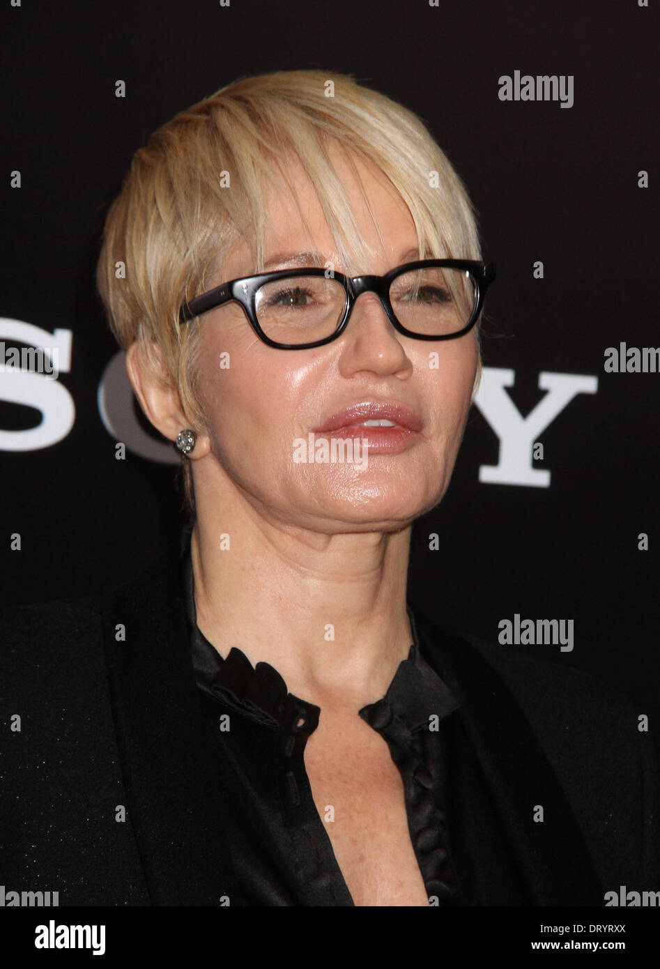 New York, New York, USA. 4th Feb, 2014. Actress ELLEN BARKIN attends ...