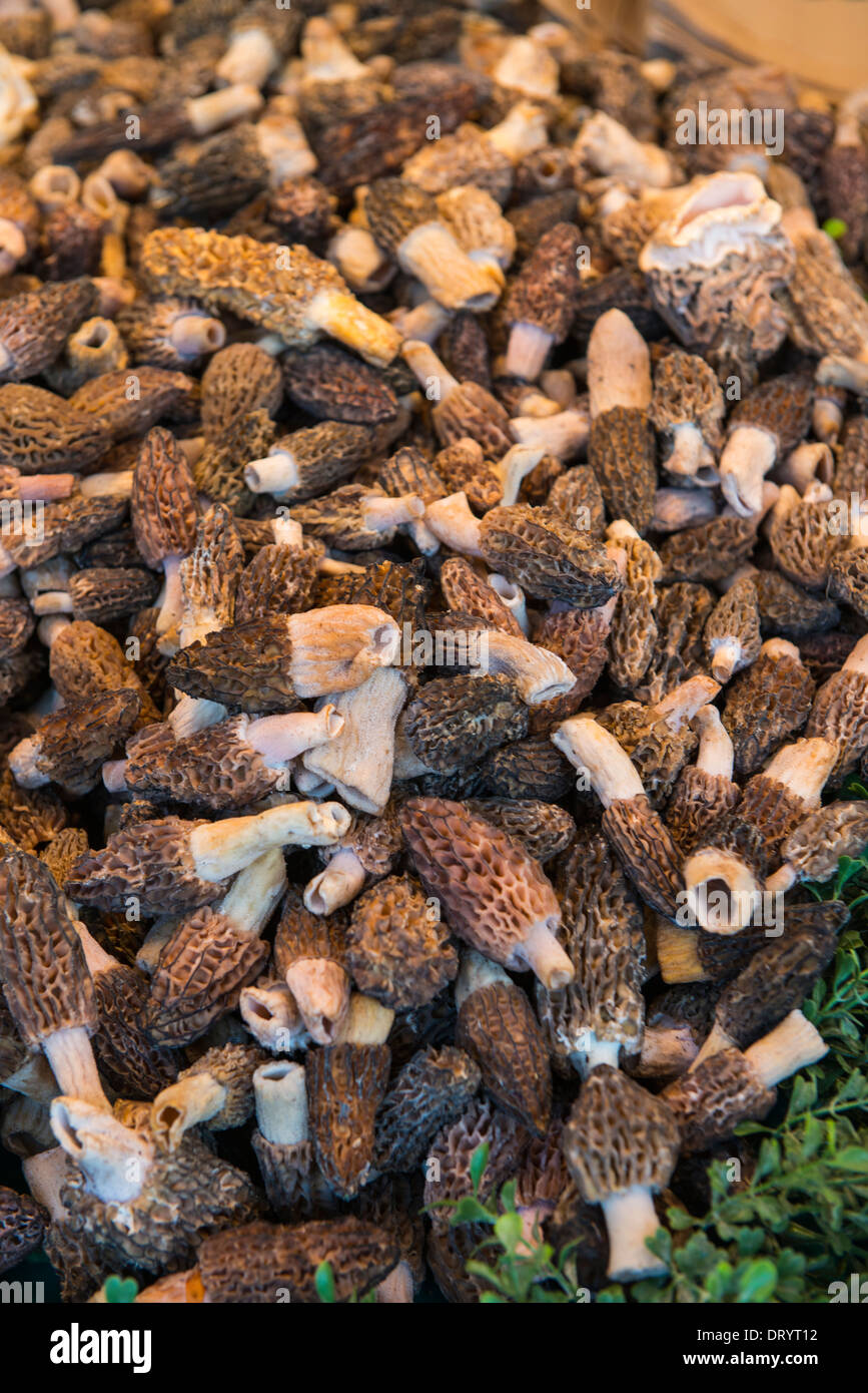Paris mushrooms hi-res stock photography and images - Alamy