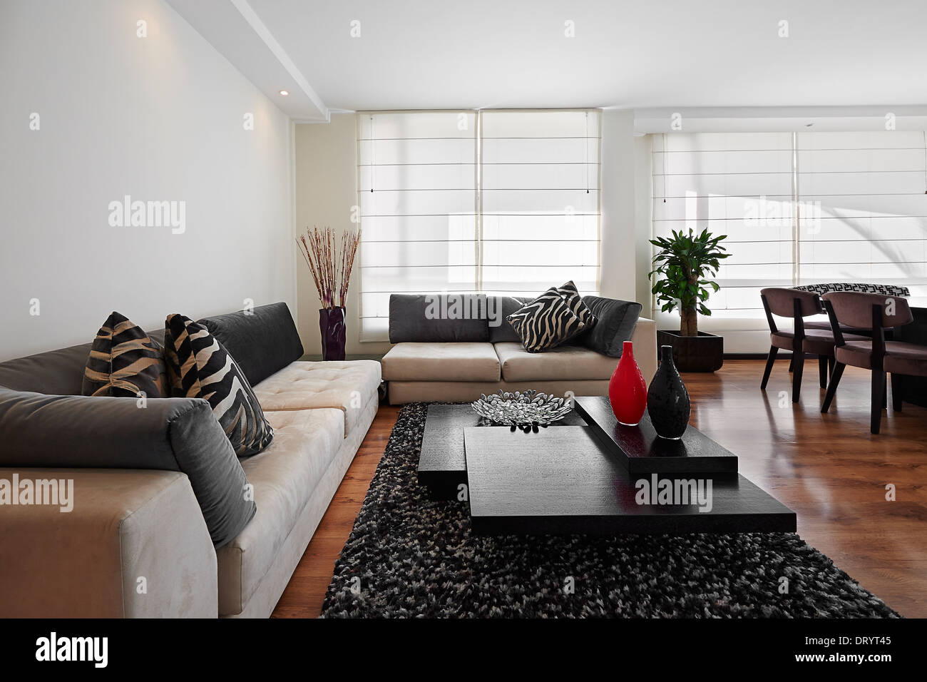 Interior design: Big modern living room Stock Photo - Alamy