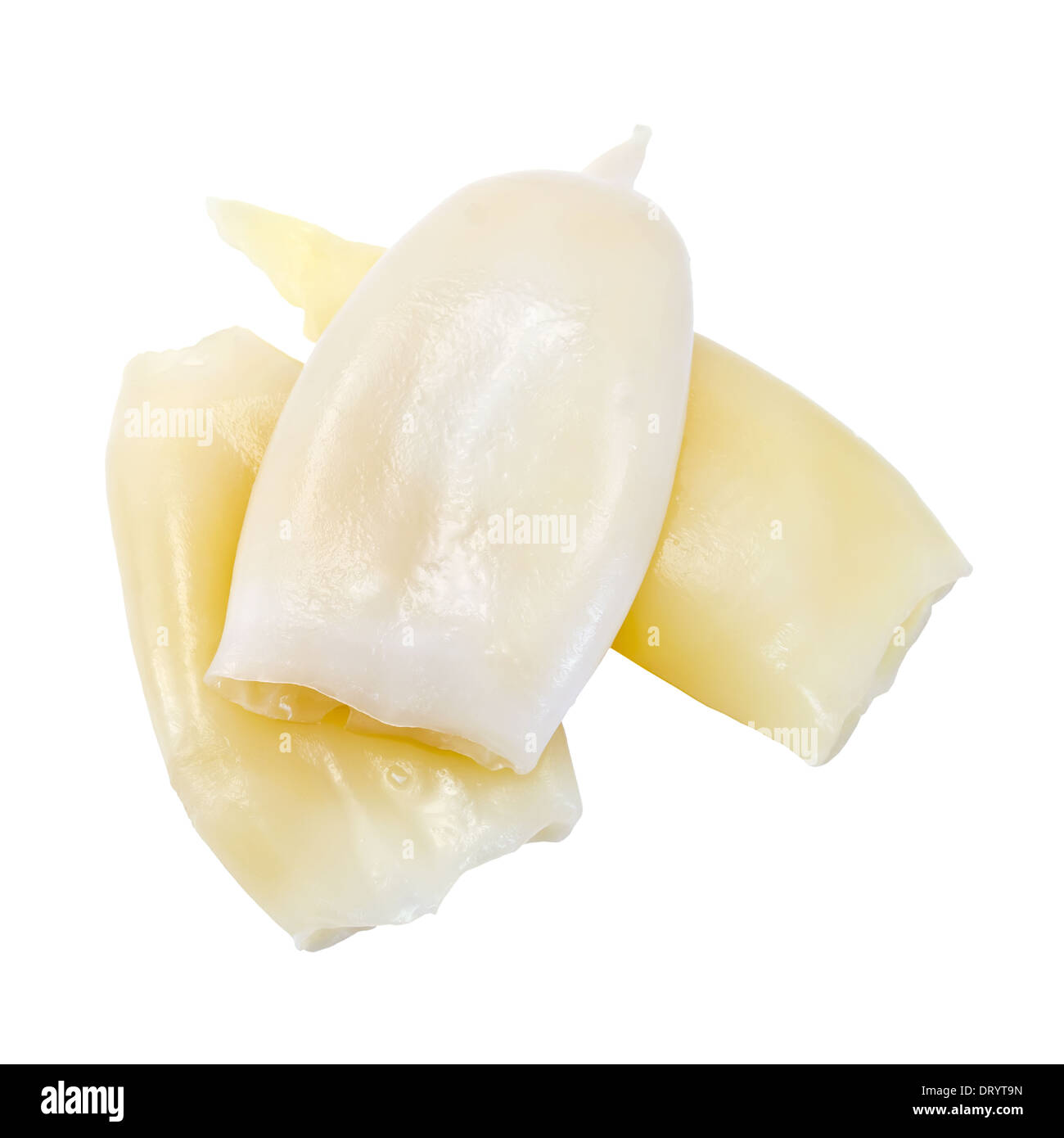Three trained cleaned squid isolated on white background Stock Photo ...