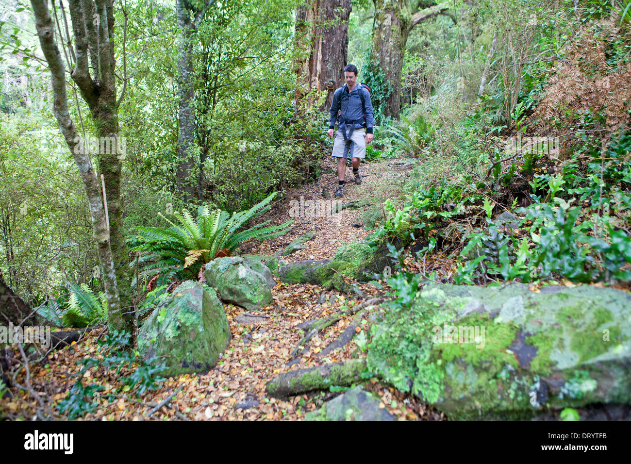 Trekking trekker hiking hiker hi-res stock photography and images - Alamy
