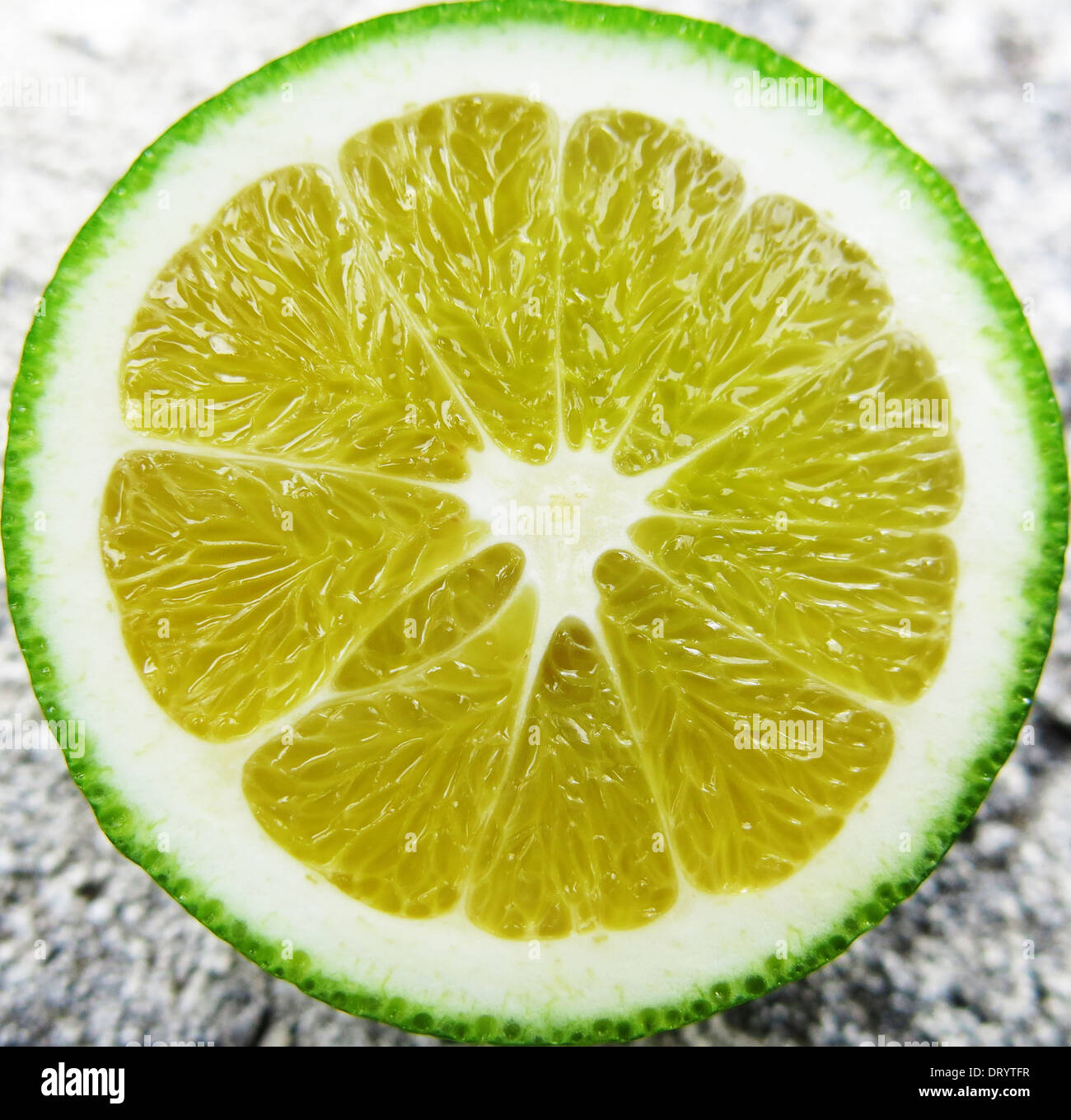Fresh lime slice Stock Photo - Alamy
