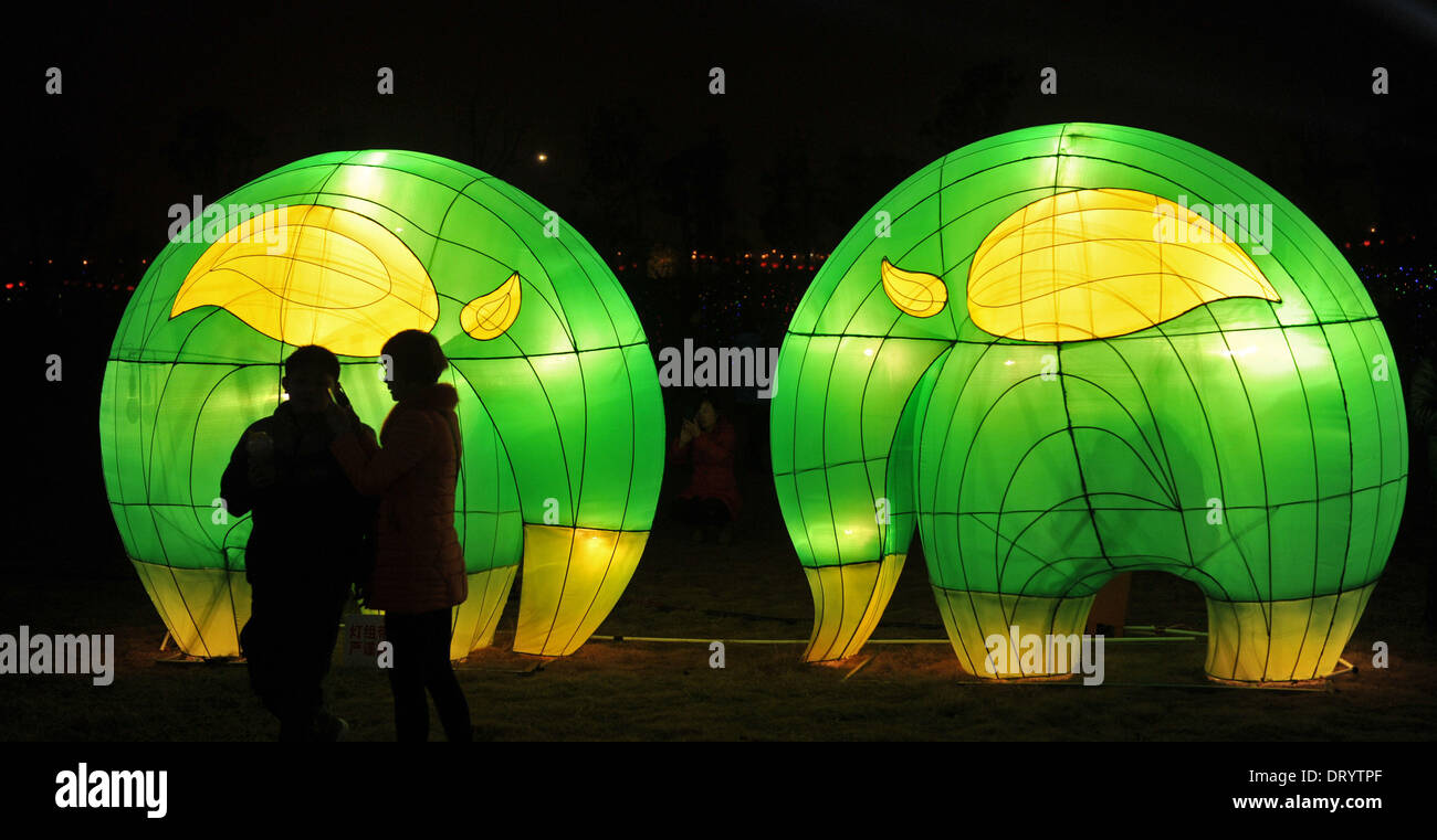 Changsha, China's Hunnan Province. 4th Feb, 2014. Visitors look at ...