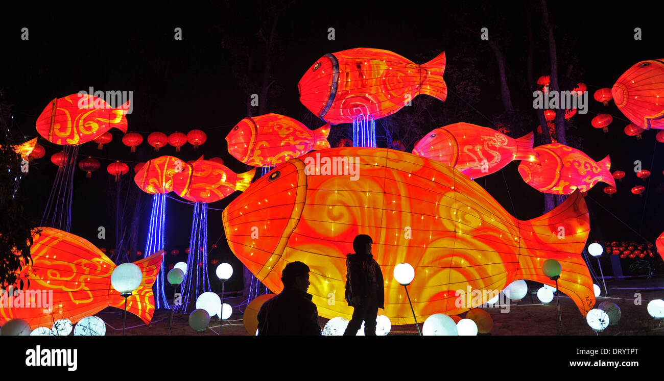 Changsha, China's Hunnan Province. 4th Feb, 2014. Visitors look at fish ...