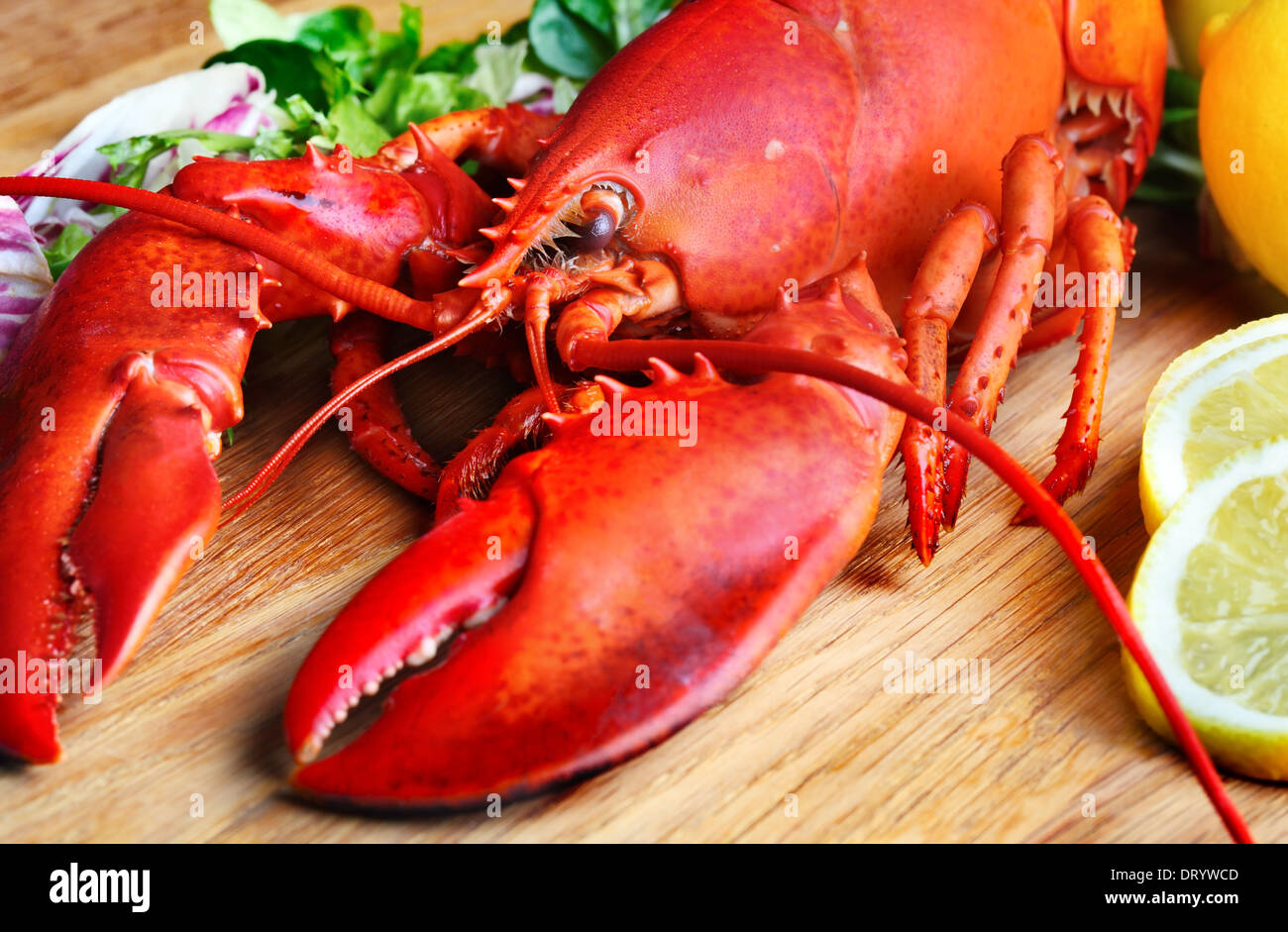 Boiled lobster and lemon Stock Photo - Alamy