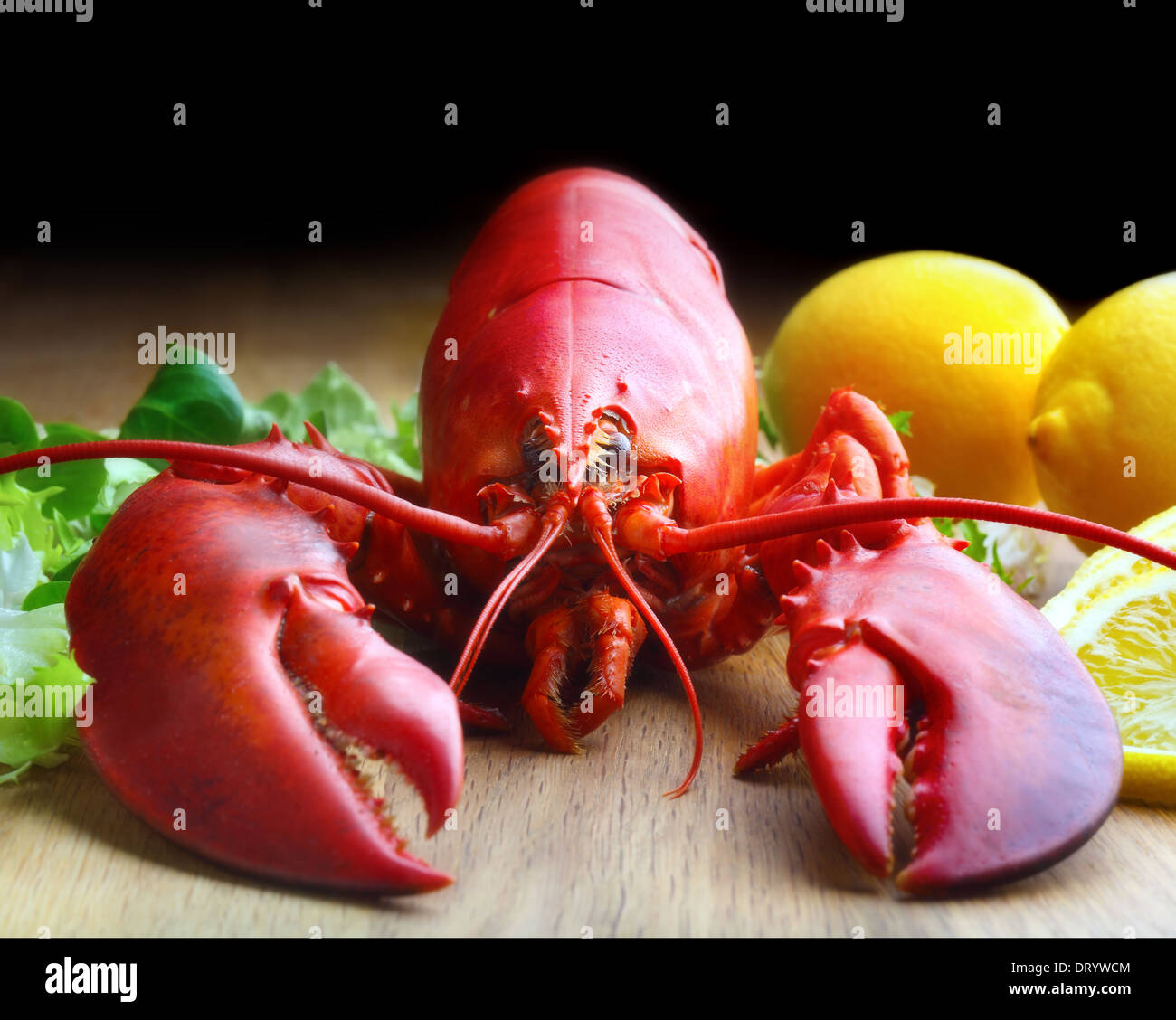 boiled lobster and lemon Stock Photo - Alamy