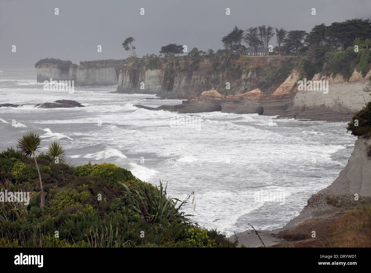 New zealand cliff native bush holiday vacation hi-res stock photography ...